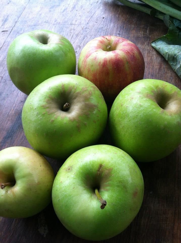 Hot Pepper Apple Pie - Riverview Farms