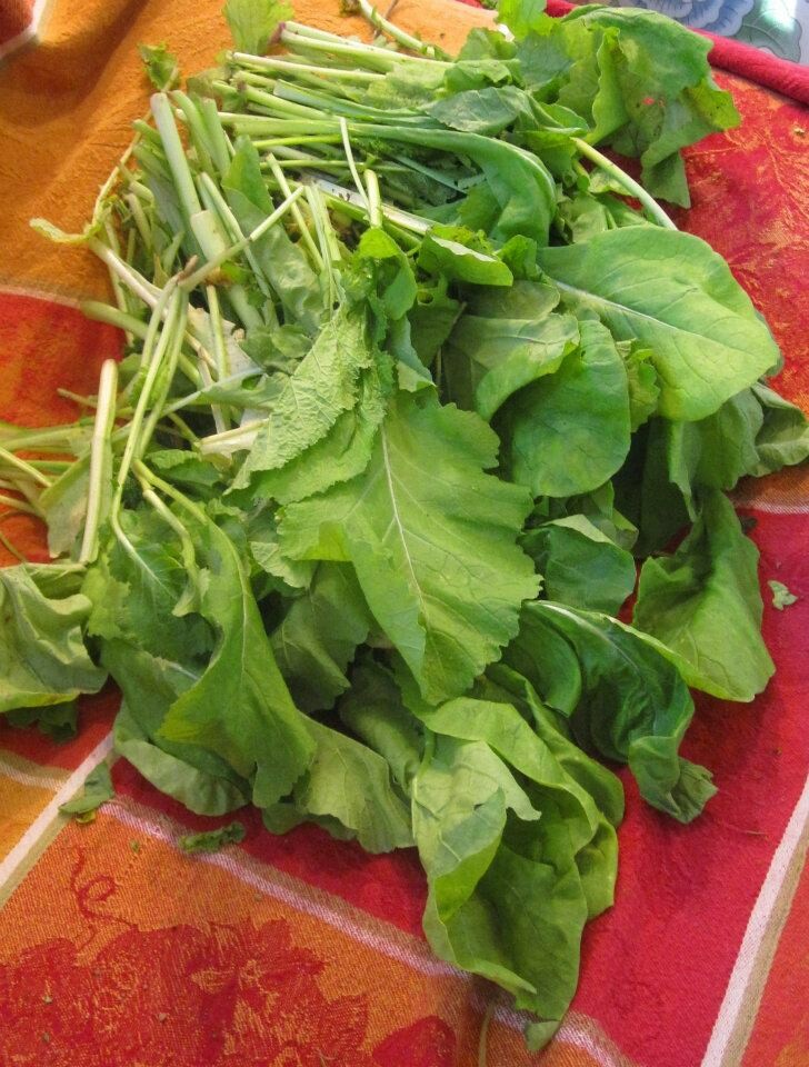 (2019) Baked Fish with Arugula Sauce - Riverview Farms