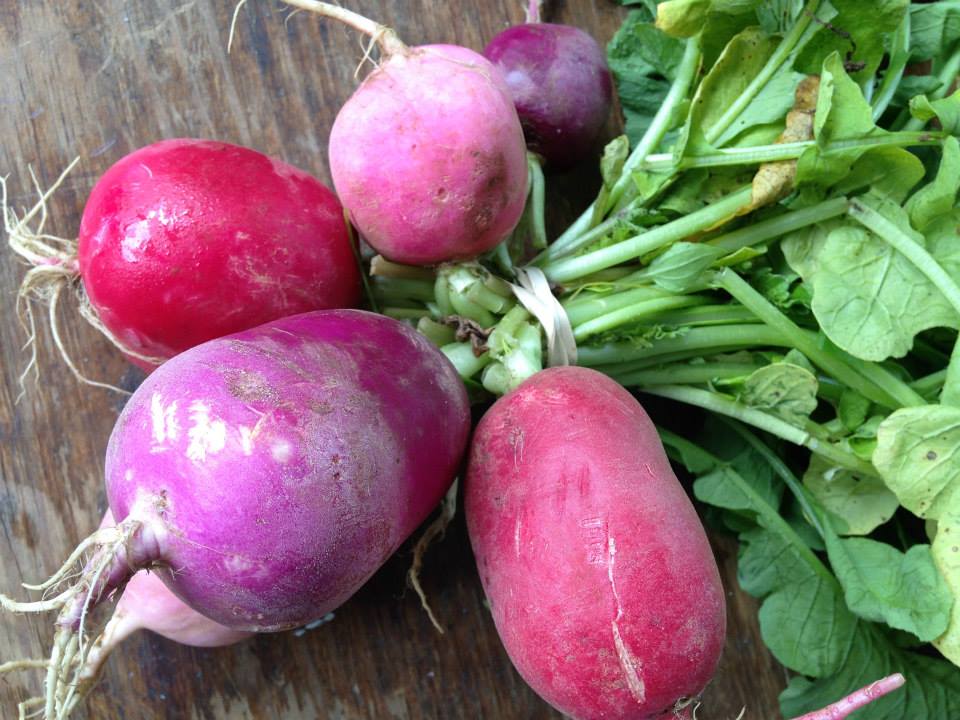 Radish – Potato Salad with Green Goddess Dressing - Riverview Farms
