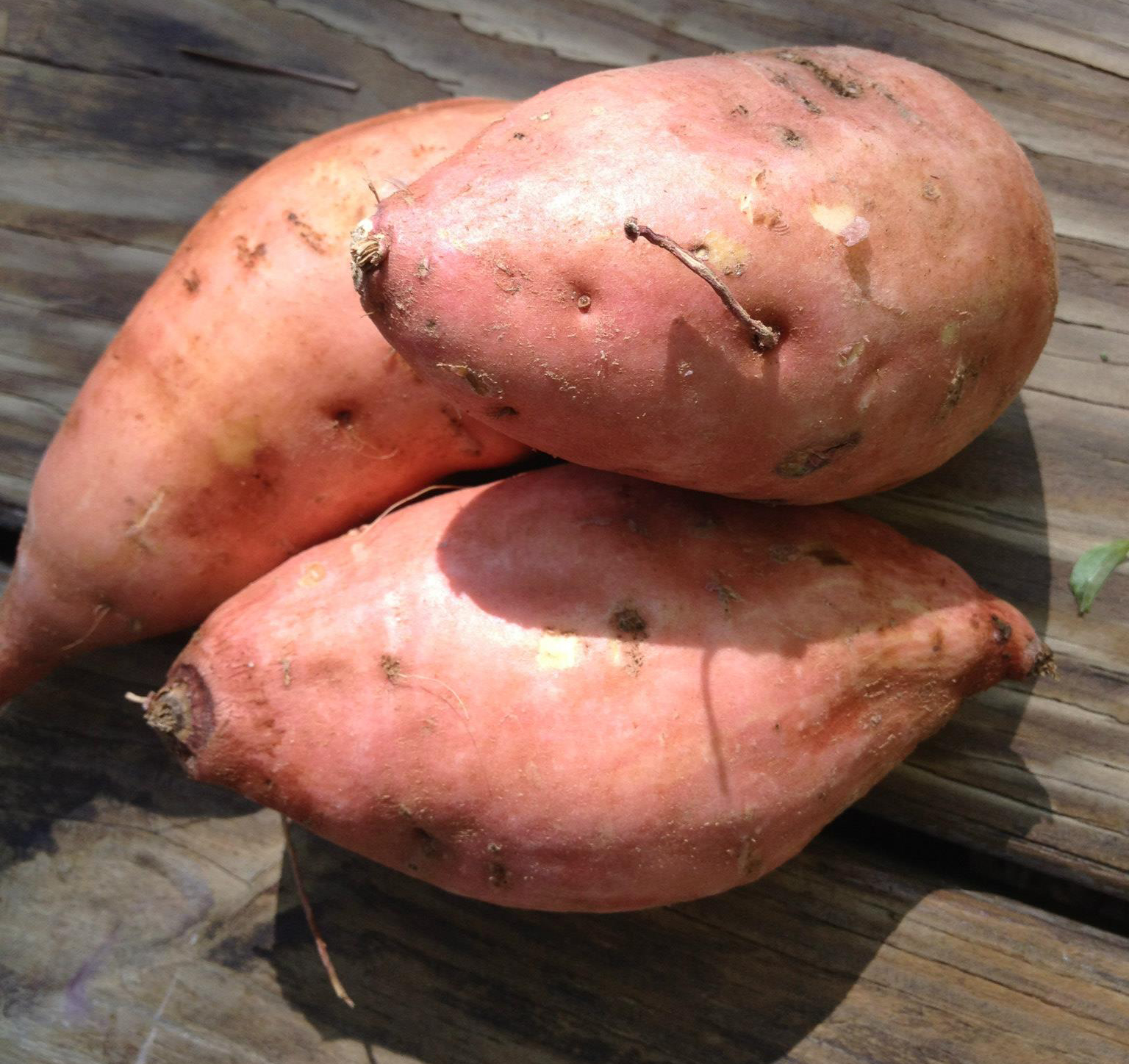 Deborah Geering’s Sweet Potatoes, Sweet Turnips and Greens - Riverview ...