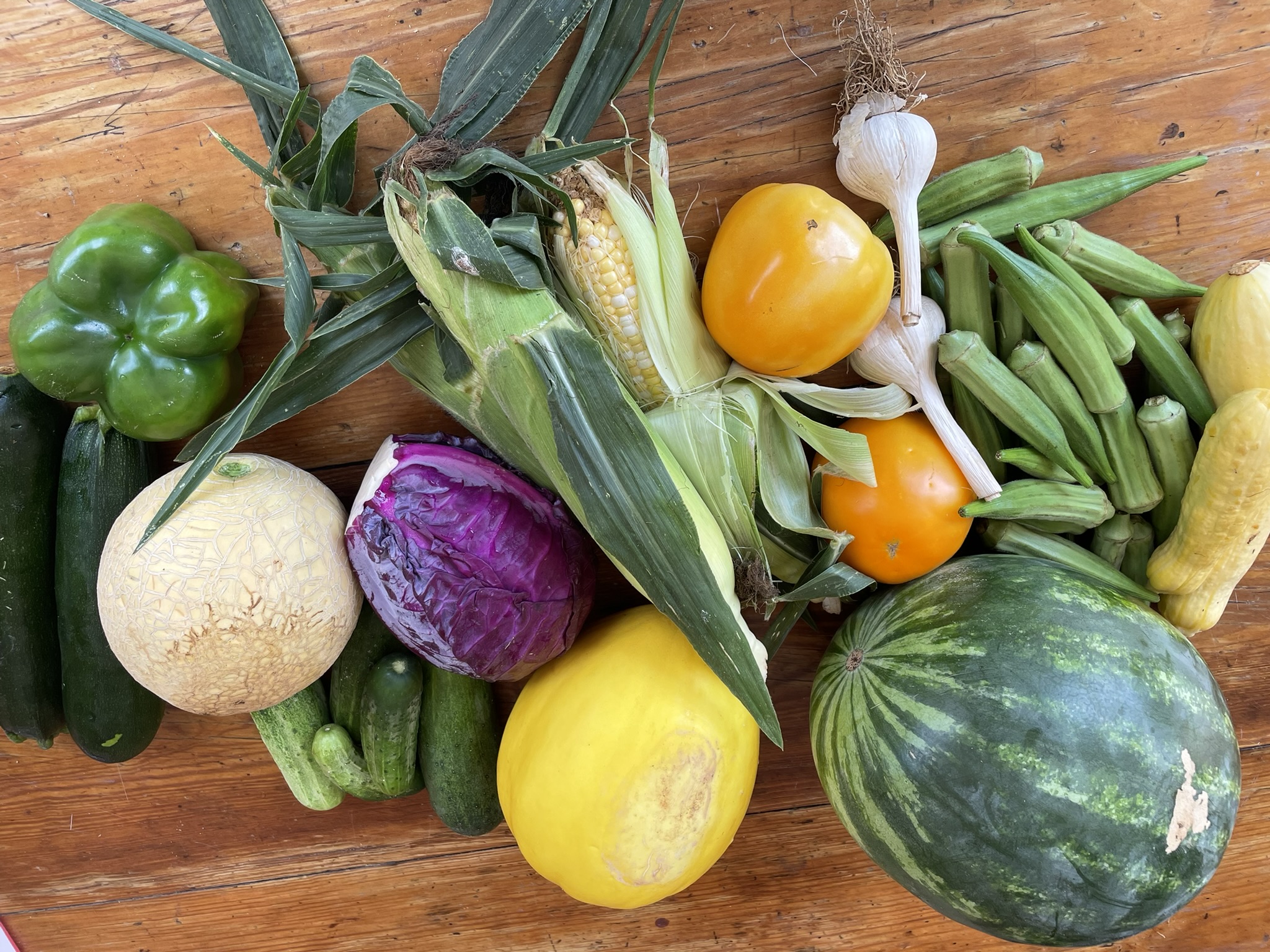 2025 CSA Week 14 - Riverview Farms